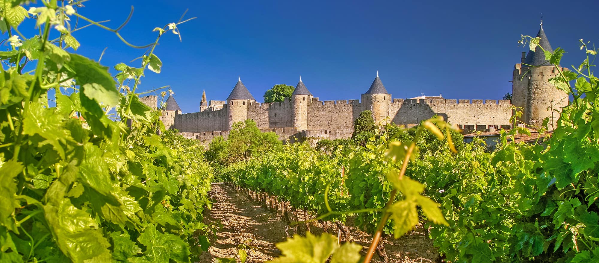 Over ons | Novasol-Moerland